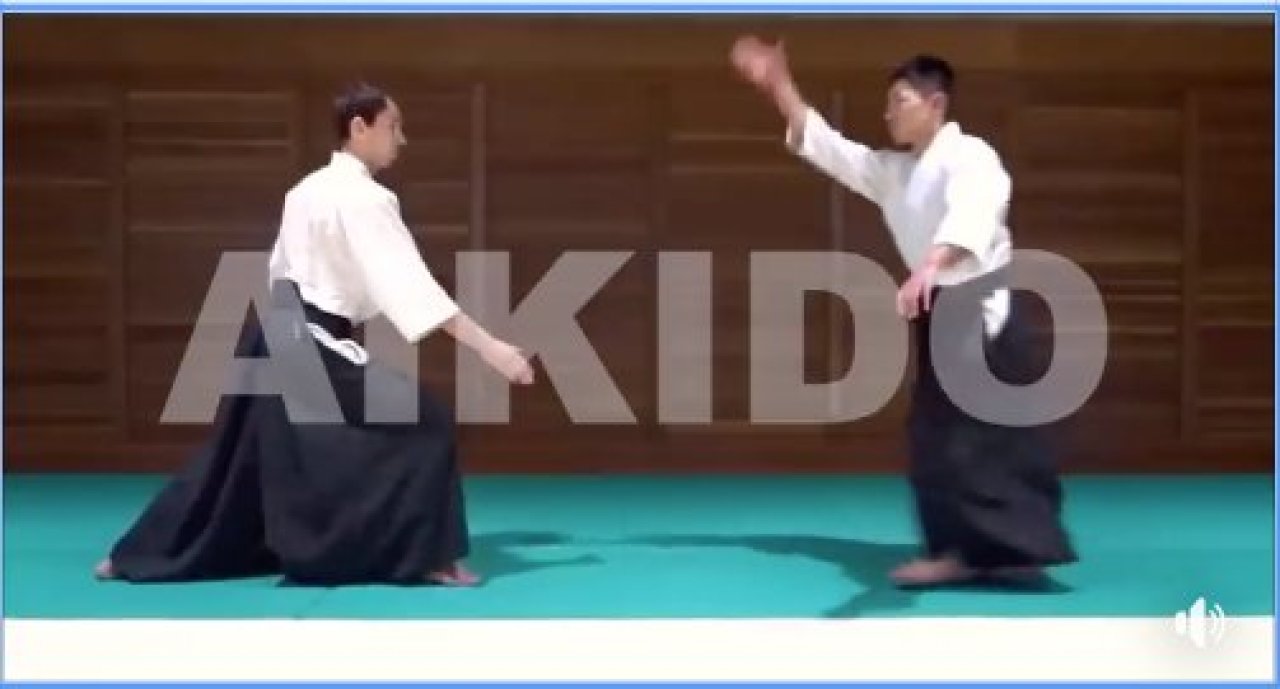 Ukemi & Aikido | AikidoTravel